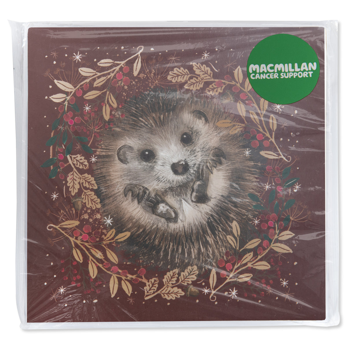 Hedgehog Christmas Card - 10 Pack – Macmillan Cancer Support Shop