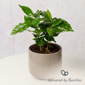 Shop - Macmillan Cancer Support – Macmillan Cancer Support Shop