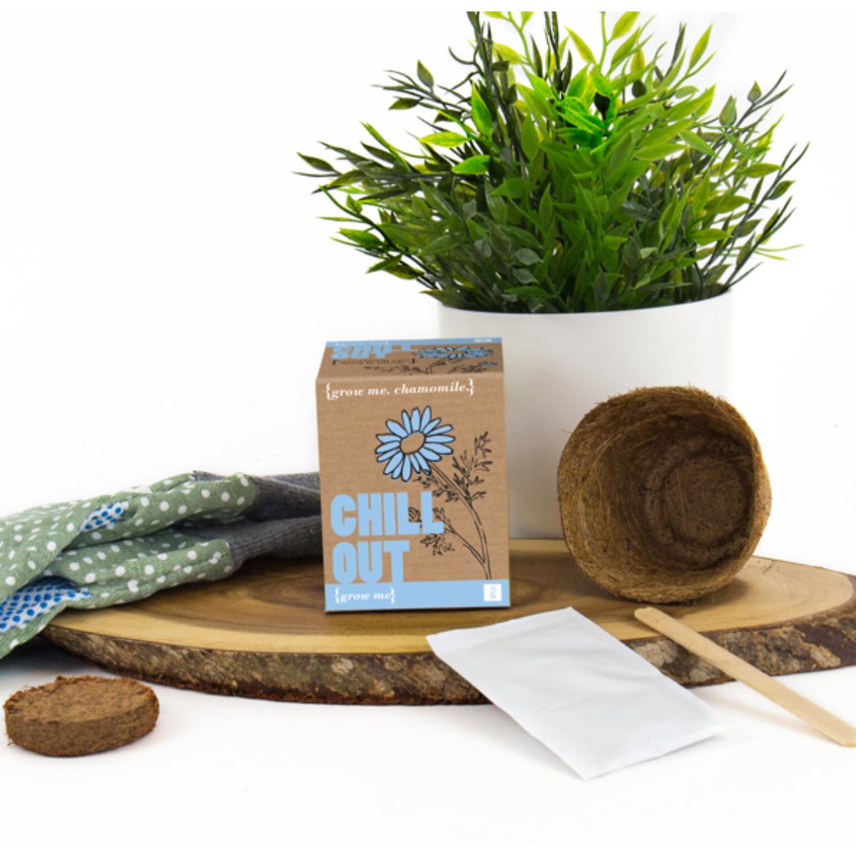 Chill Out - Grow Me Growing Kit – Macmillan Cancer Support Shop