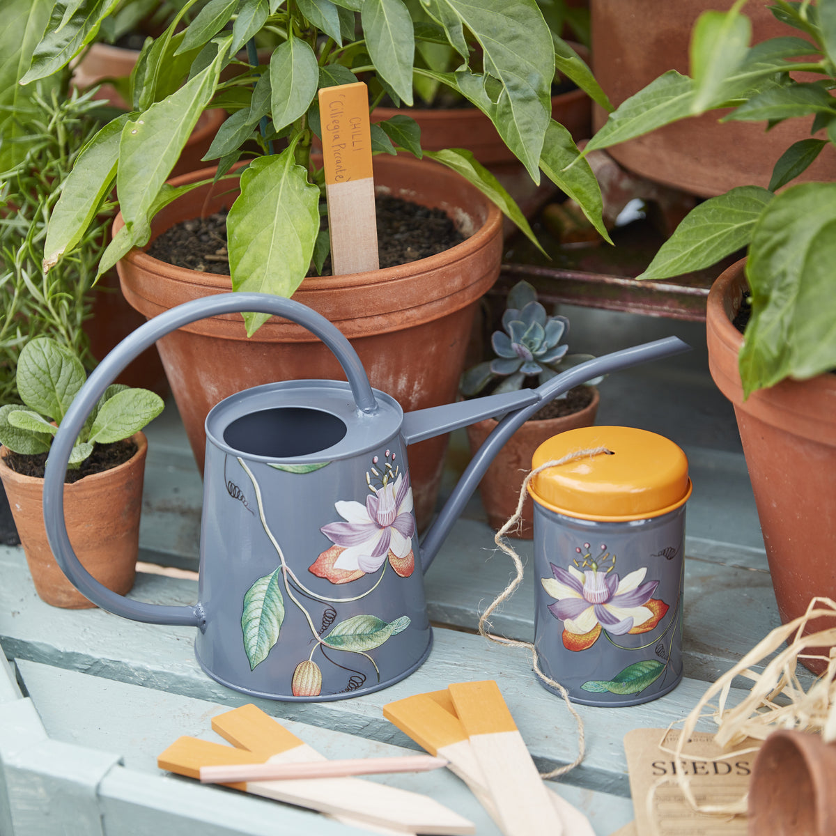 Passiflora Watering Can – Macmillan Cancer Support Shop